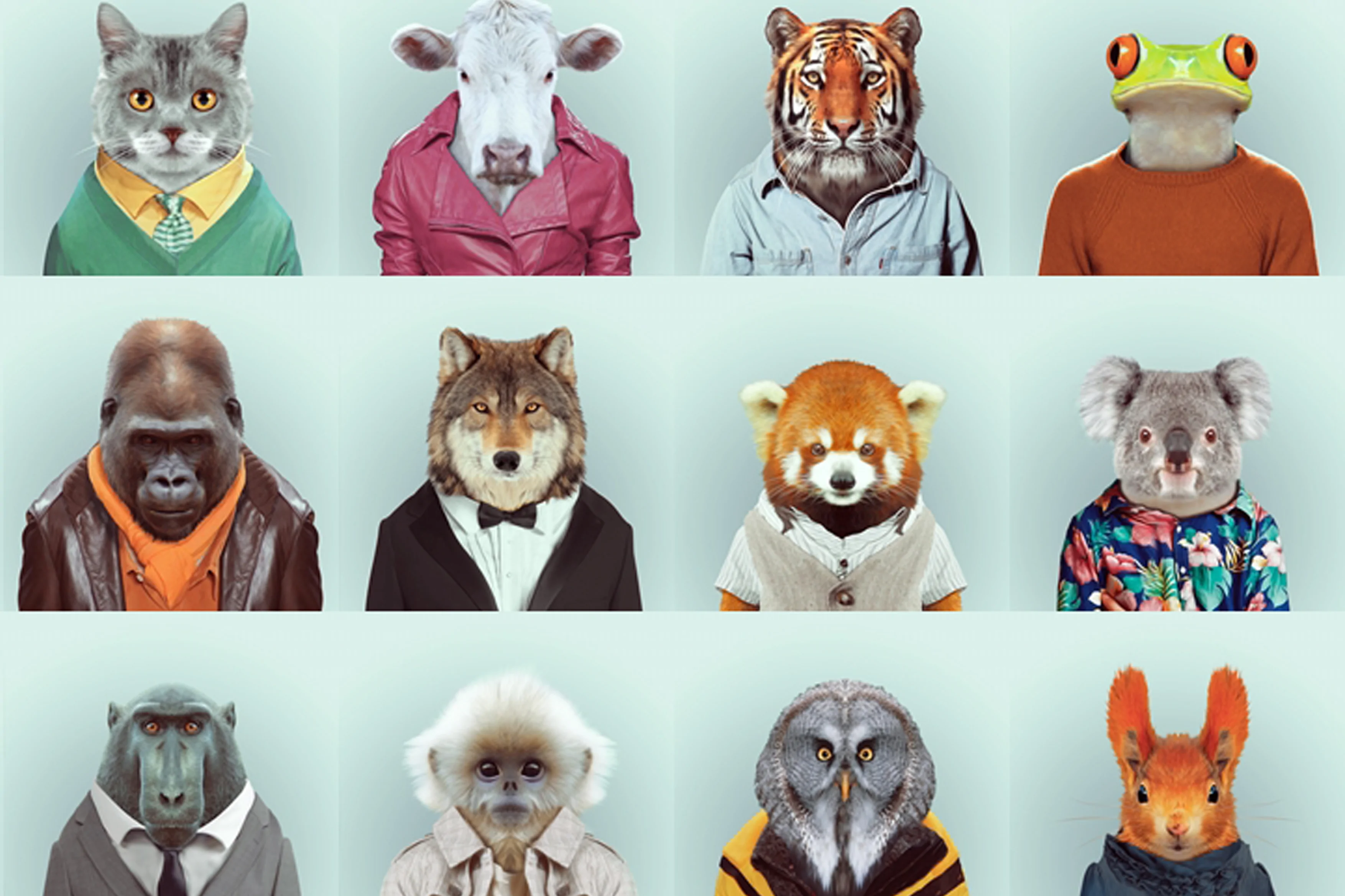 Zoo Animal Portraits by Yago Partal - Cloud 9 Digital Design